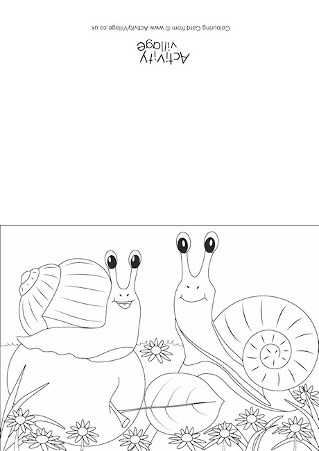 Minibeast Colouring Pages | Activity Village