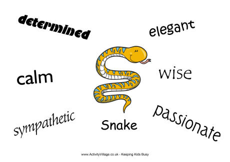 Snake Characteristics Poster | Activity Village