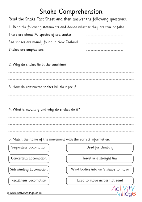 Snake Worksheets | Activity Village