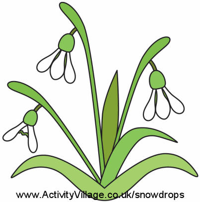Snowdrop Activities for Spring! | Activity Village