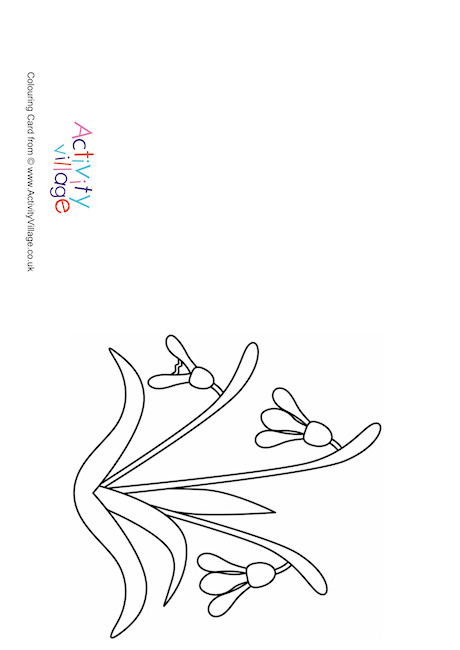 Snowdrops | Activity Village