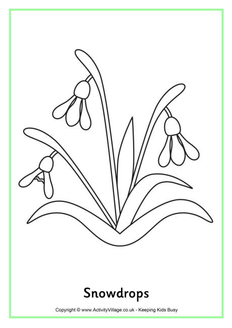 Snowdrops Colouring Page | Activity Village