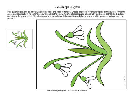 Snowdrops | Activity Village