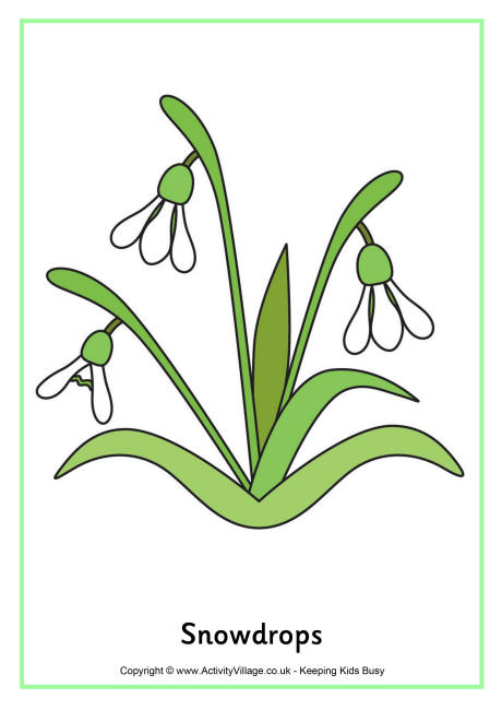 Snowdrops | Activity Village