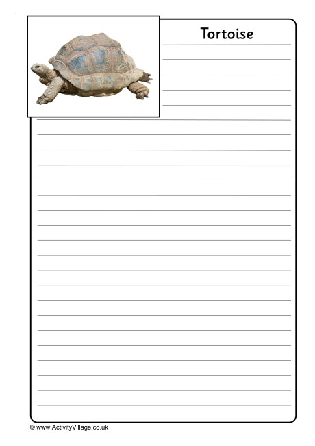 Animal Notebooking Pages | Activity Village