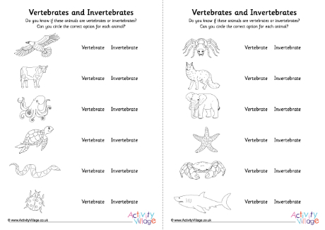 Vertebrates Invertebrates Worksheet | Activity Village