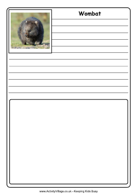 Wombats | Activity Village