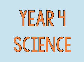 Year 4 | Activity Village