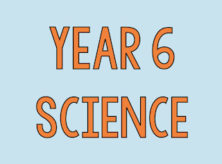 Year 6 Science | Activity Village